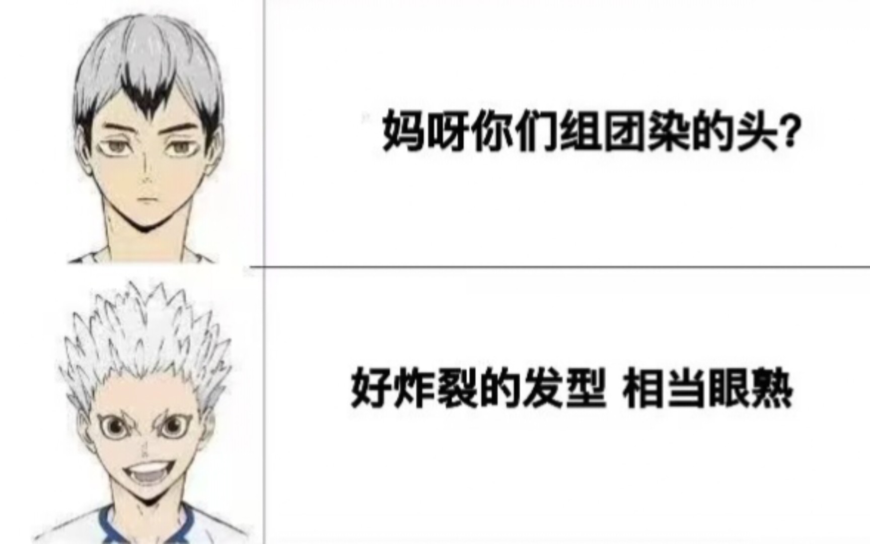 【排球少年】让圈外亲友填了小排球的初印象