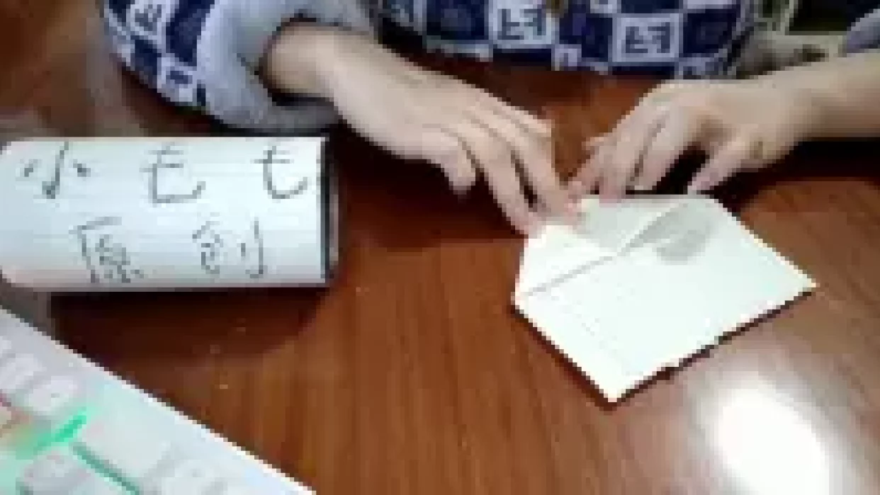 简单手工纸折小小垃圾盒 (利用手边的废纸随手折一个 / 作为放置果壳...