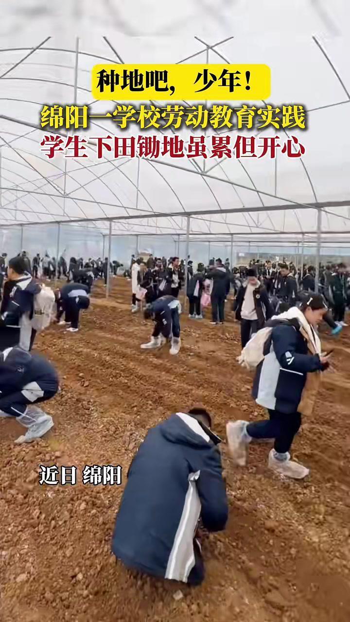...劳动教育实践,学生下田锄地虽累但开心,觉得很有意义。#种地#劳动