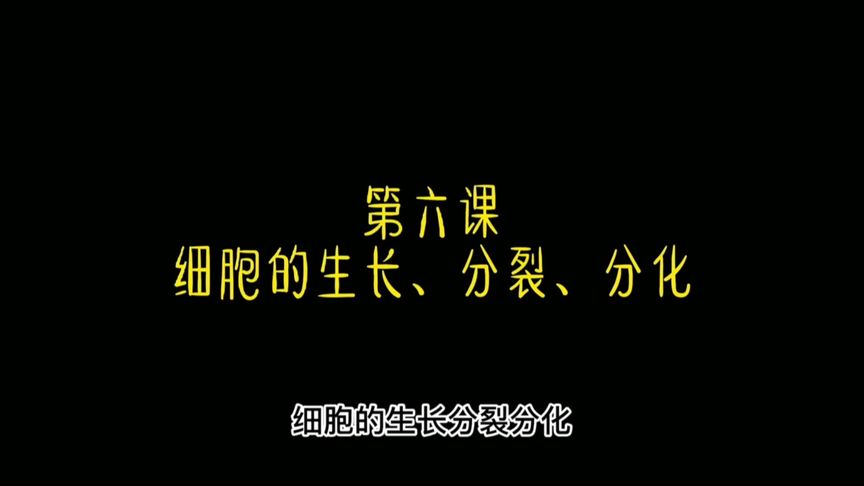 细胞的神奇一生!
