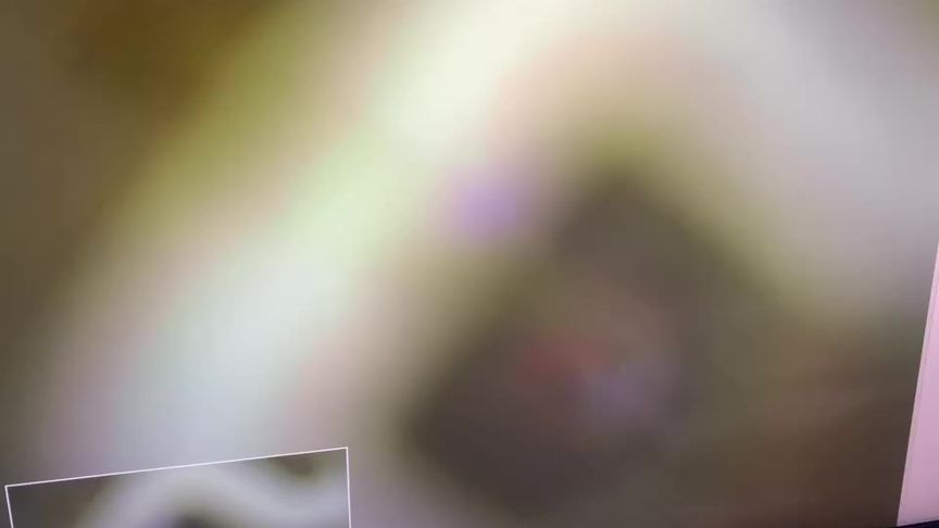 @显微镜,光学显微镜,视频显微镜,电子显微镜,景深合成显微镜