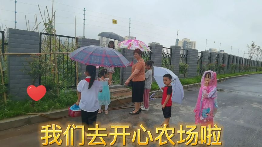 陵园小学#开心农场#采摘#义卖社会实践活动#