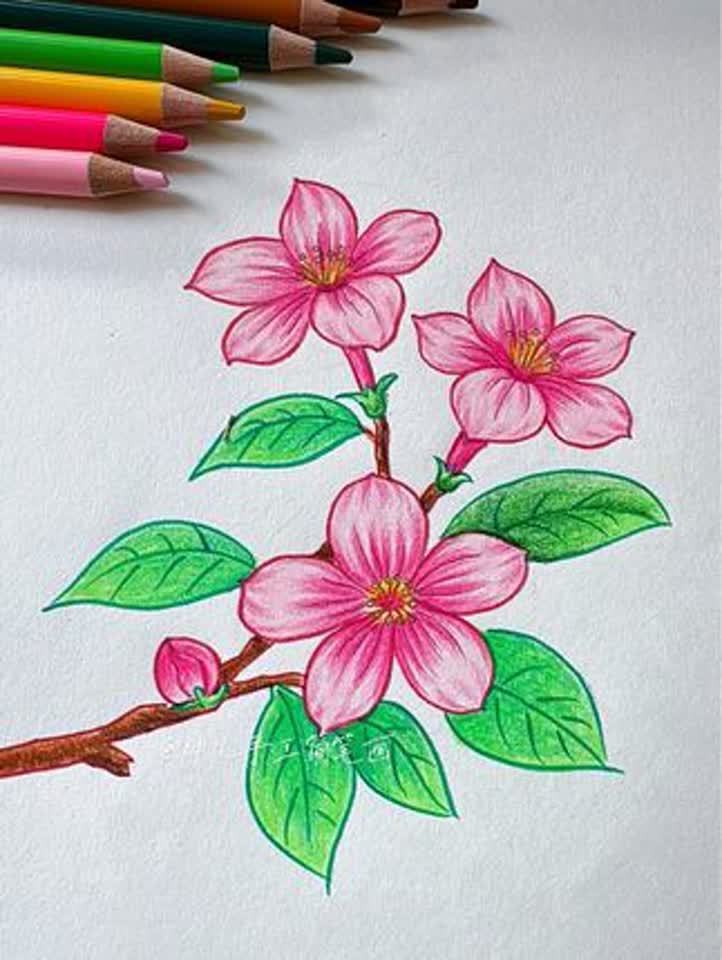 你能猜出我画的是什么花吗? #简易花草画法 #彩铅手绘 #儿童画 #简笔...