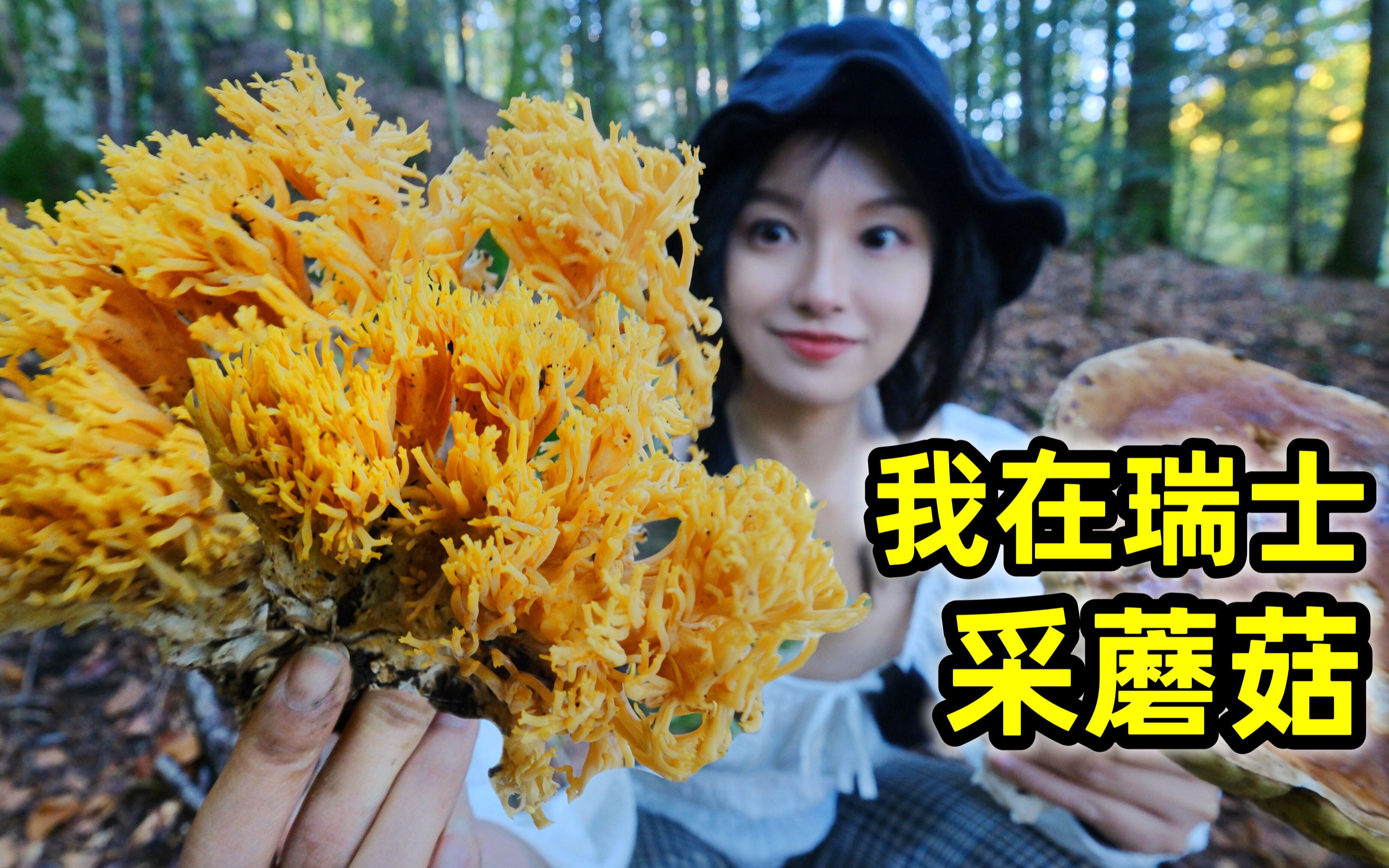 在瑞士采蘑菇,300元一斤形似金珊瑚,你敢吃吗?