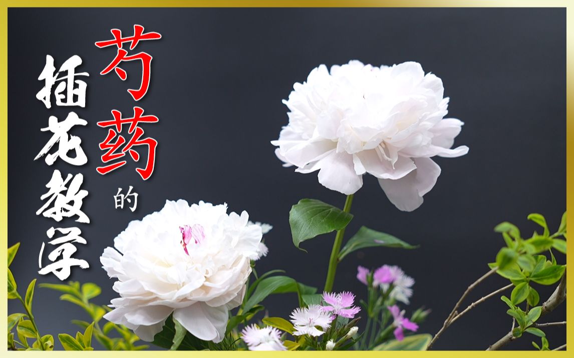 【插花教程】芍药插花 享受开花过程的花
