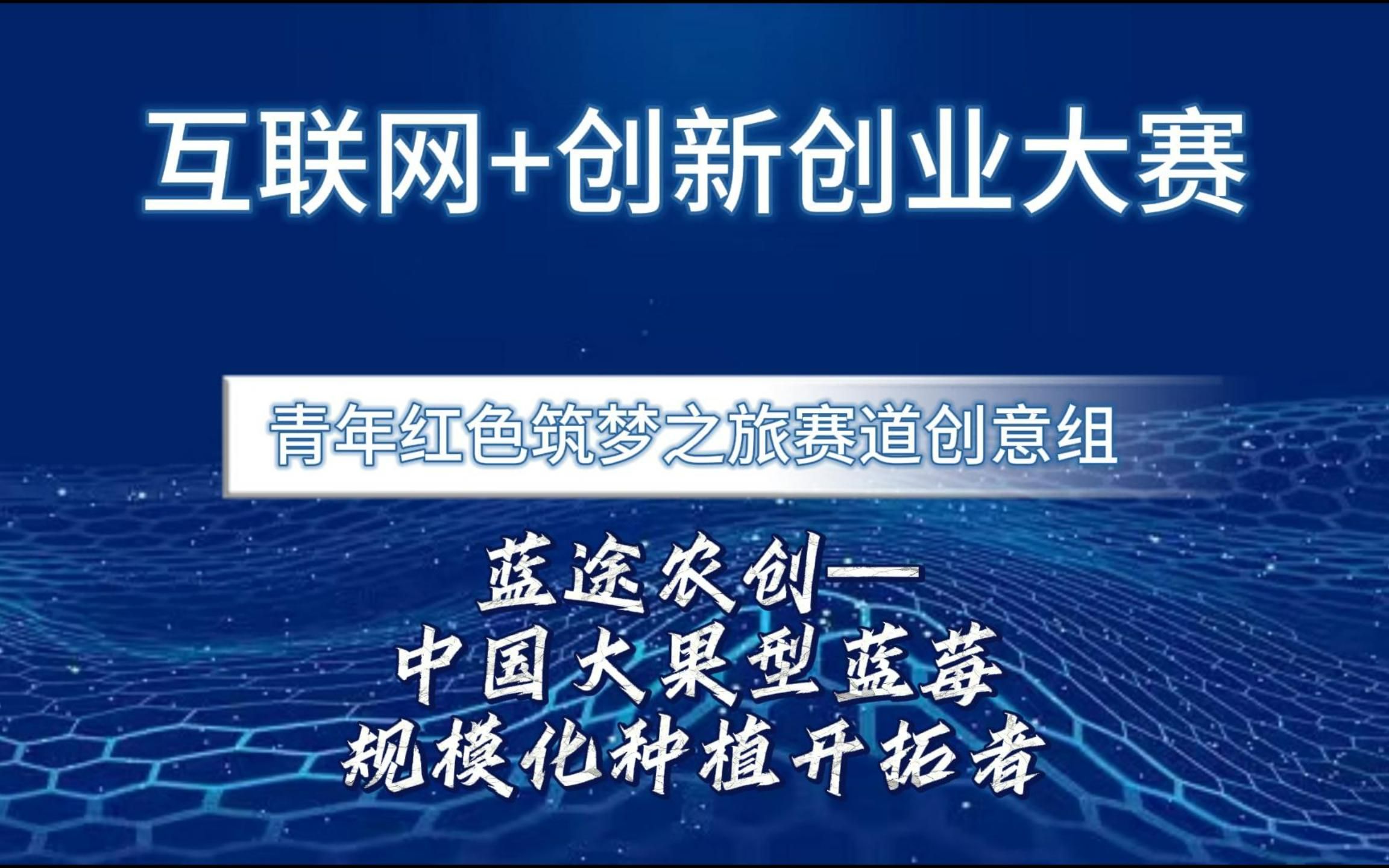 互联网+创新创业大赛国赛 红旅赛道创意组项目,蓝途农创——中国大果...