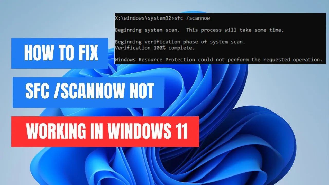 修复Windows 11 中的“Windows资源保护无法执行请求的操作”错误