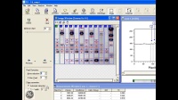 ImageQuantTL分析软件使用演示