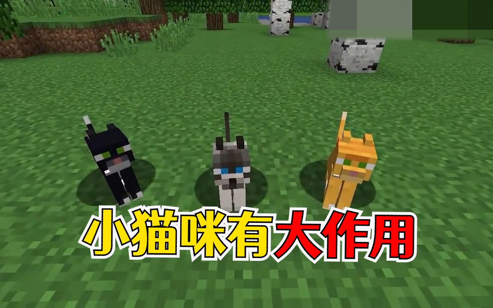 我的世界小猫咪有大作用!猫咪真的有九条命?