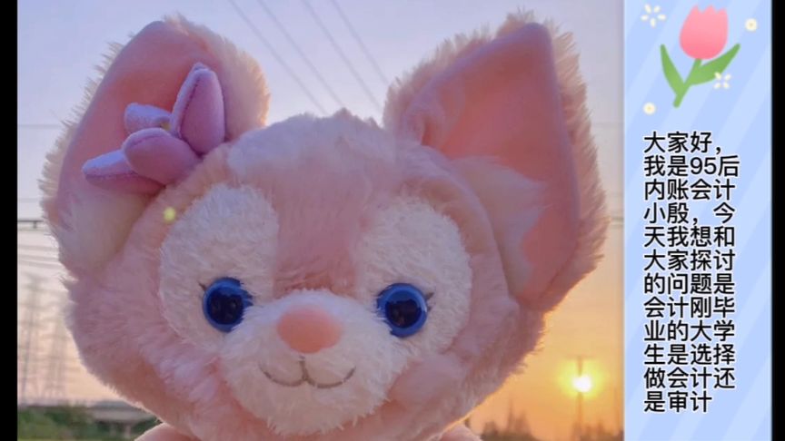 看完这个视频你就知道做审计好还是会计好