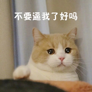 求求小鹿别乱撞 