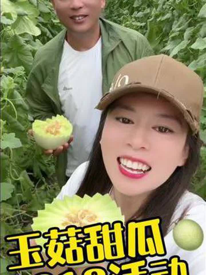 玉菇甜瓜618来啦 来产地啦,活动大