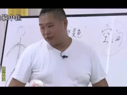 12.针灸扎哪儿—介绍十二经脉的主治病症