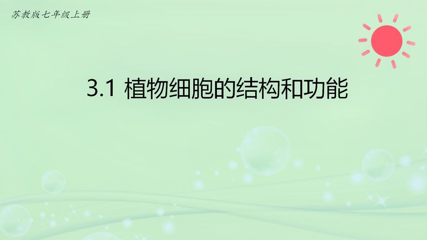 3.1 植物细胞的结构和功能考点讲解