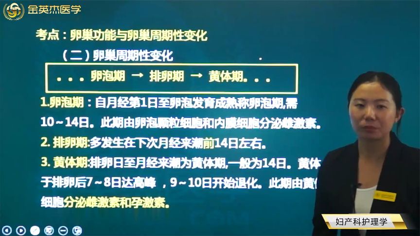 妇产护理学-卵巢功能与卵巢周期性变化:卵泡期、排卵期、黄体期