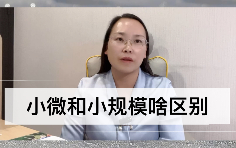 小微和小规模啥区别