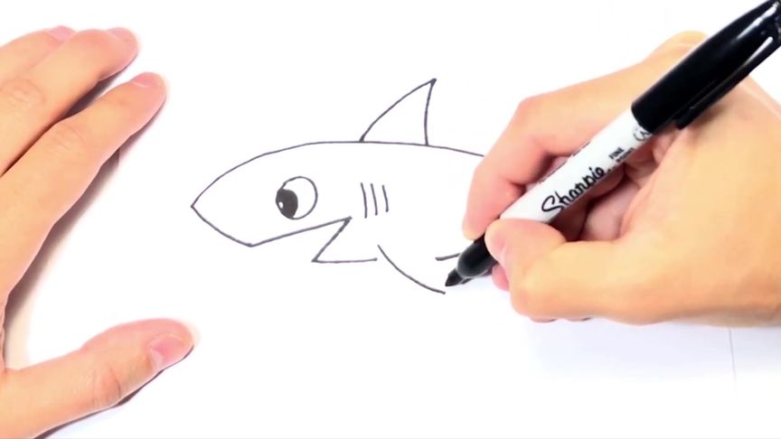 儿童简笔画教程-教宝宝如何画鲨鱼