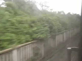 铁路京广线13-花园至广水区间K238次列车-驻马店游者