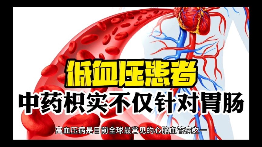 《本草纲目》:枳实的作用不止于胃肠道,大于30g调节低血压!