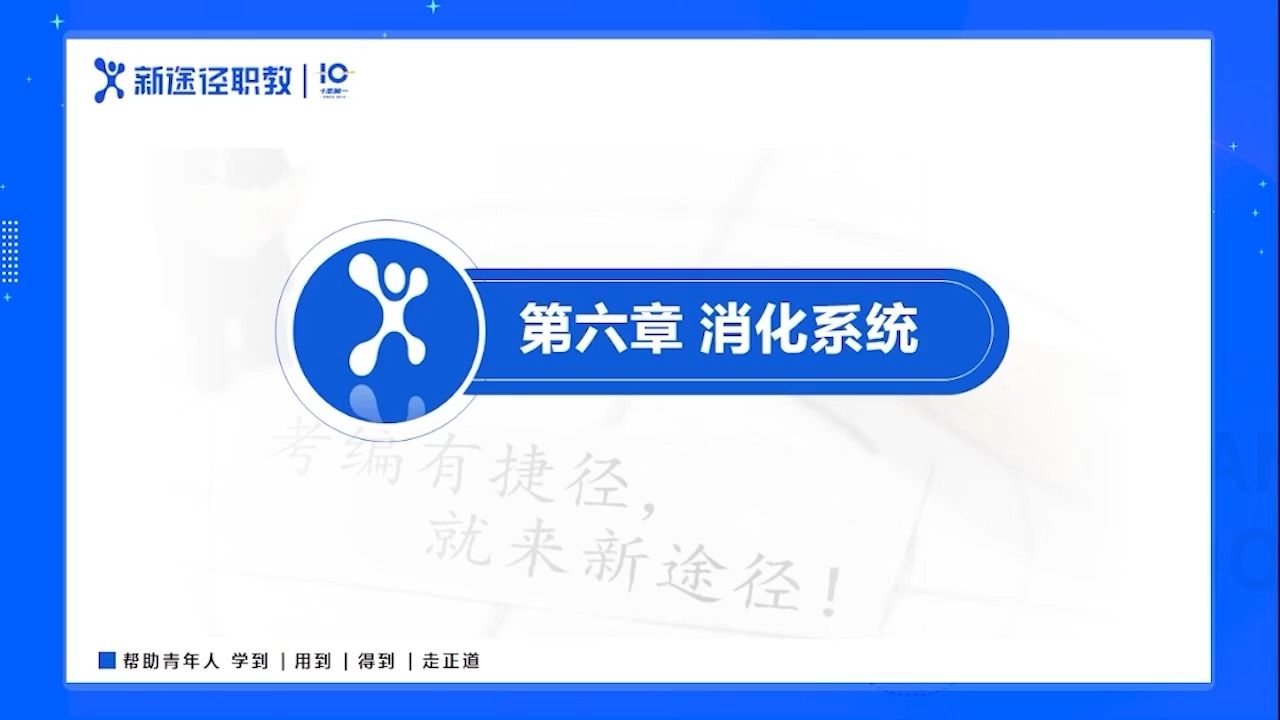 第六章 消化系统 第二节 小肠及大肠内的消化-生理学