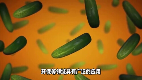 磷:构成生物体骨骼与牙齿主要化学成分,细胞结构和能量代谢过程