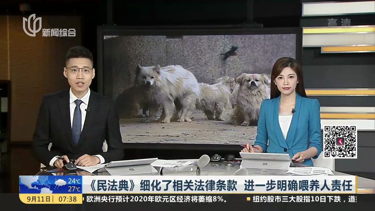 男子投喂的流浪犬伤人被要求索赔,帮助流浪动物怎样才得当?