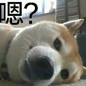 我今天很好啊 