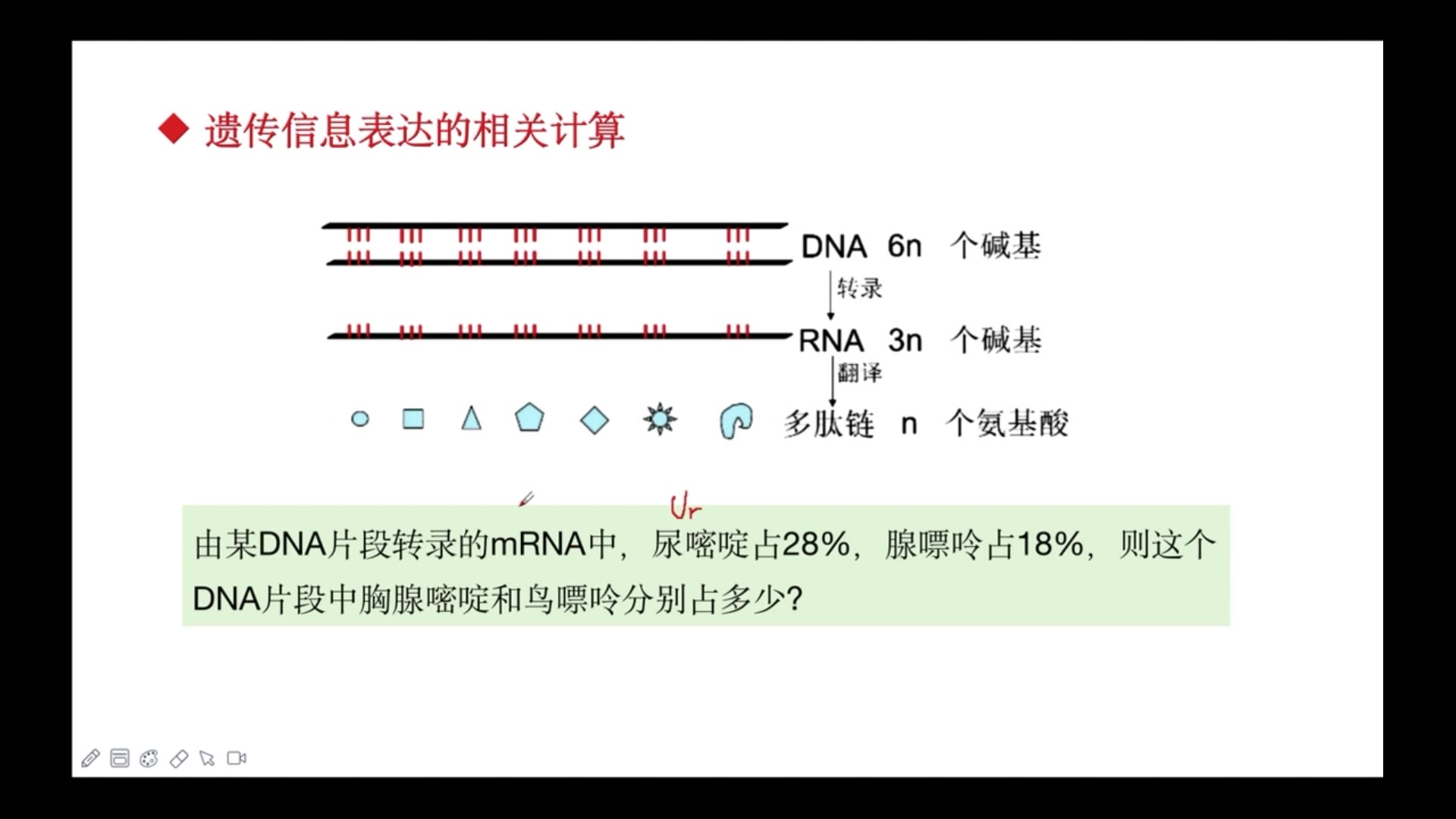 4.1遗传信息表达相关计算