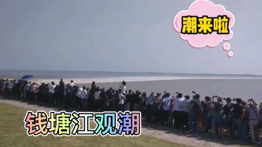 观钱塘江大潮,场面壮观气势磅礴,游客惊叫声此起彼伏