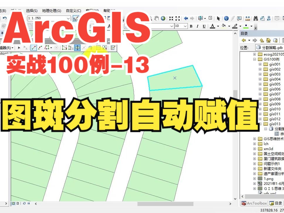 13ArcGIS图斑分割自动赋值(属性域)(ArcGIS实战技巧100例13—重剪辑...