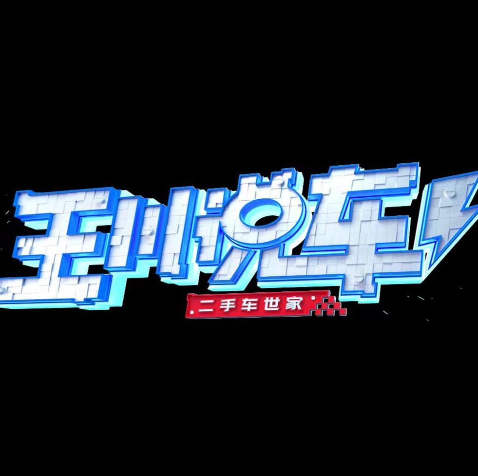 王川说车 