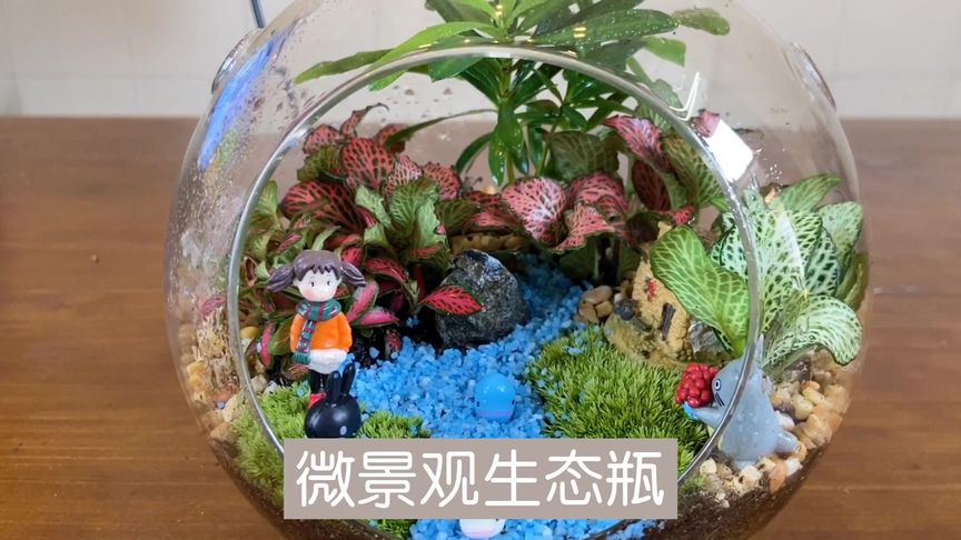 桌面微景观制作教程,微缩景观生态瓶设计,自己动手试一下吧