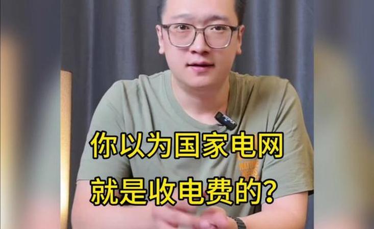 你以为的国家电网就是收电费的吗?
