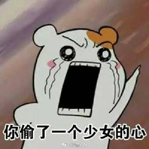 兔飞飞今天学英语了吗 