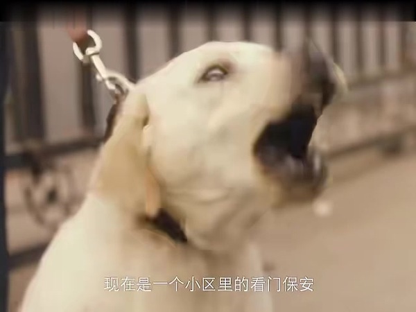 两个长得一模一样的人互换身份