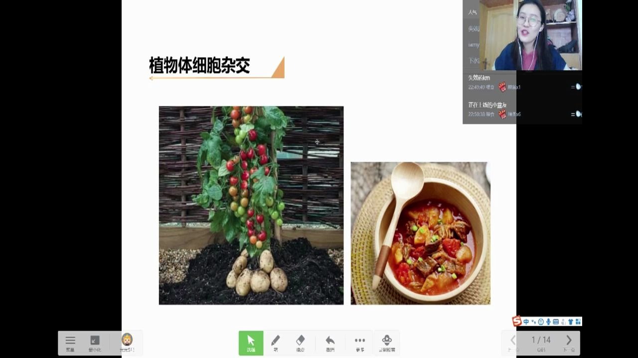 高中生物选修三植物细胞杂交和动物细胞融合
