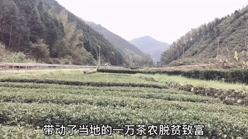 第一次用这样的方式来宣传我的家乡,家乡发展越来越好点赞