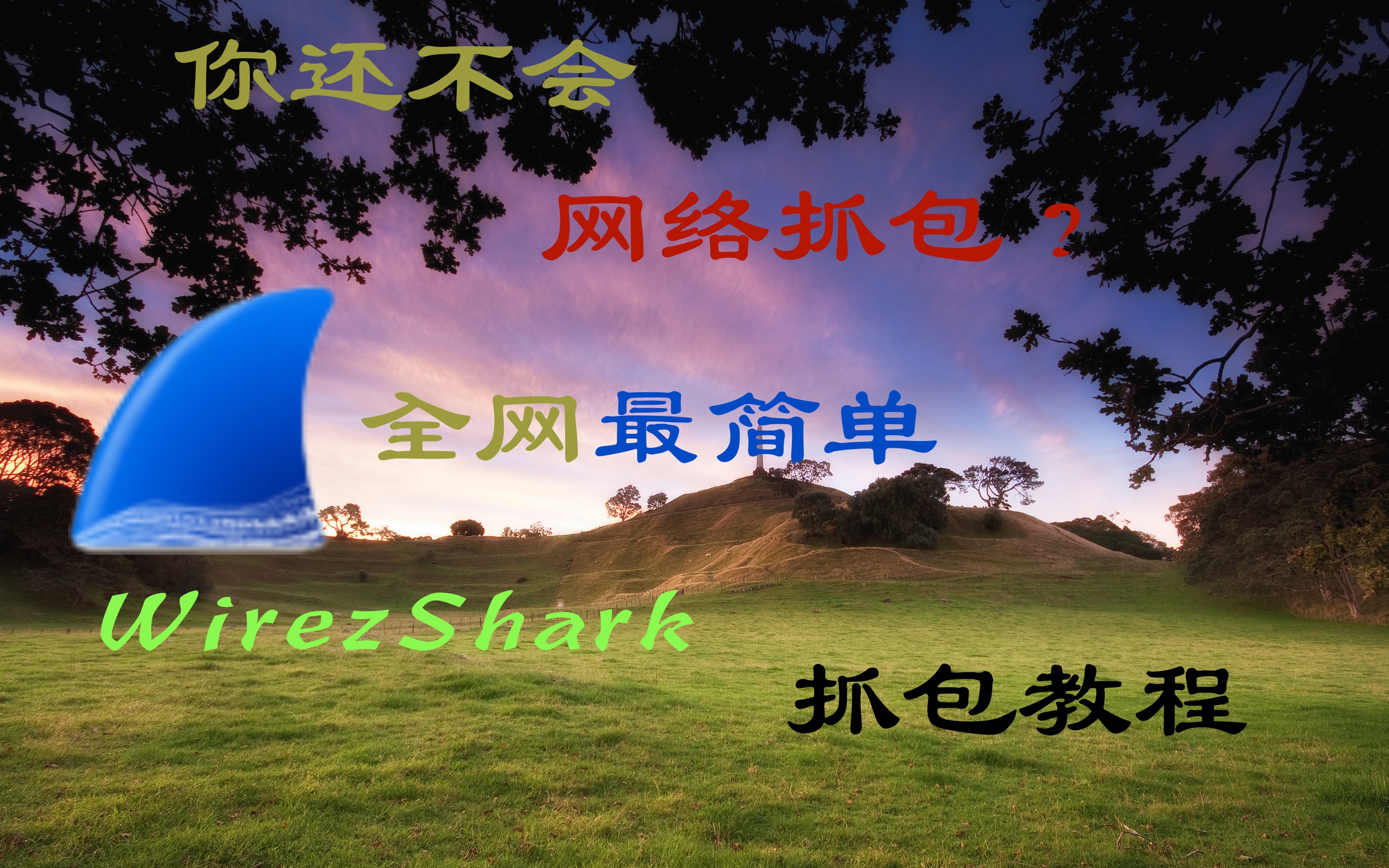 什么?你还不会网络抓包?|全网最简单快速Wireshark抓包教程|保姆级教学