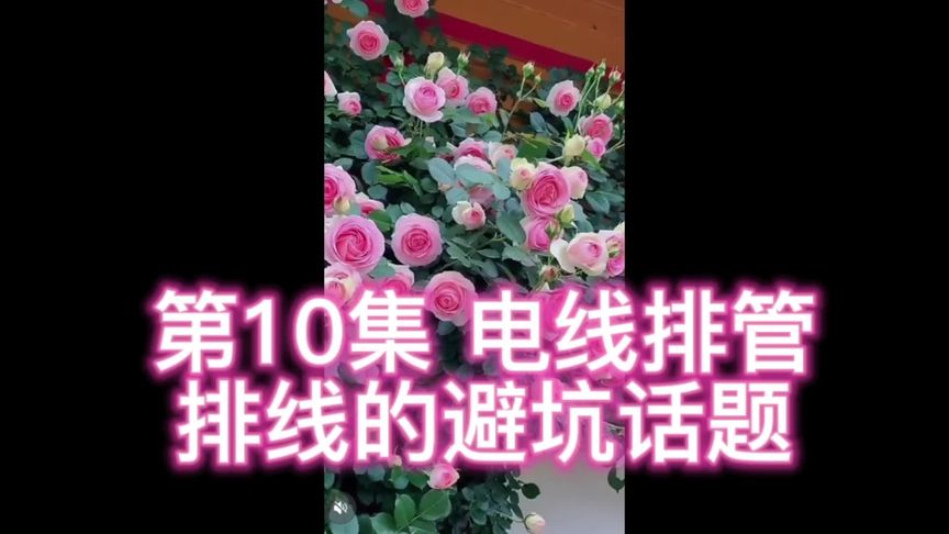 #装修避坑 #家装装修 #避坑指南 #电线排线干货3点