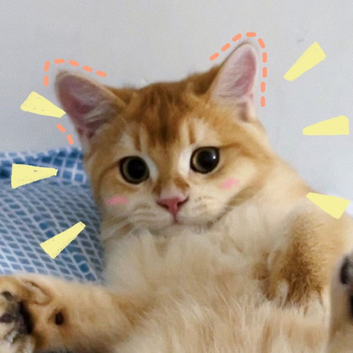 胡桃さおり 