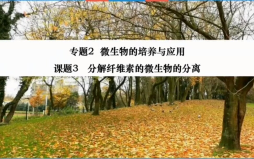 分解纤维素的微生物的分离(后附实验操作视频)