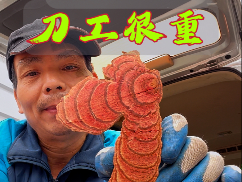 鸡血藤切片样子是有点狼狈,每一片都那么讲究,是不是太过份了