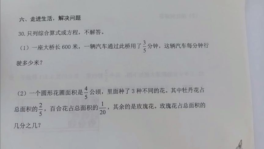 六年级数学:玫瑰花占总面积的几分之几?