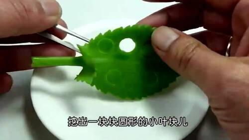 植物竟能这样制造氧气?超震撼光合作用实验,颠覆你对生物学的认知!