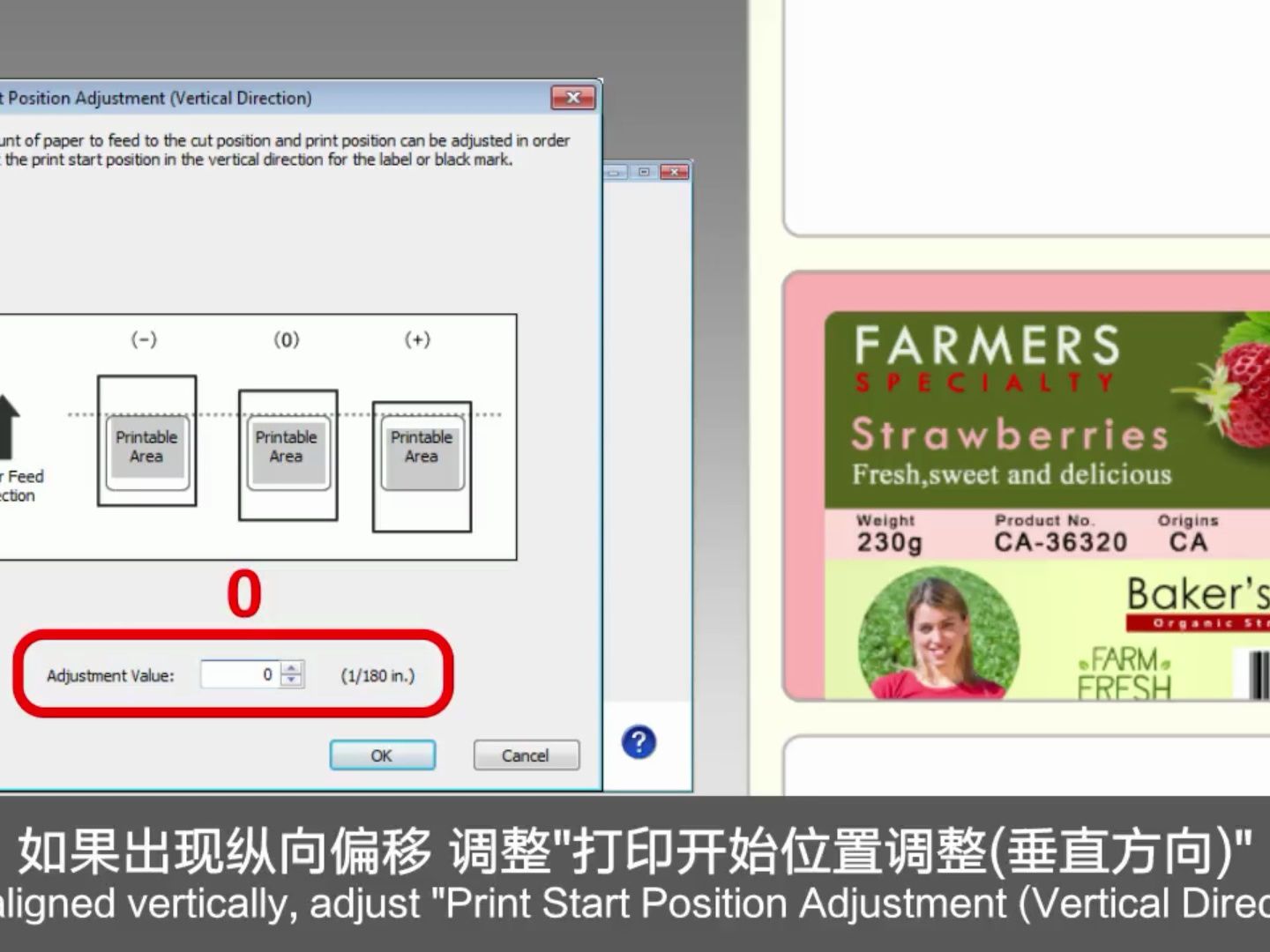 EPSON爱普生彩色标签机无边距打印标签