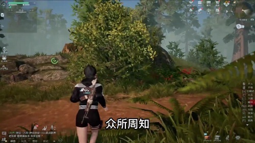 众所周知,黎明觉醒是一款卡牌类游戏