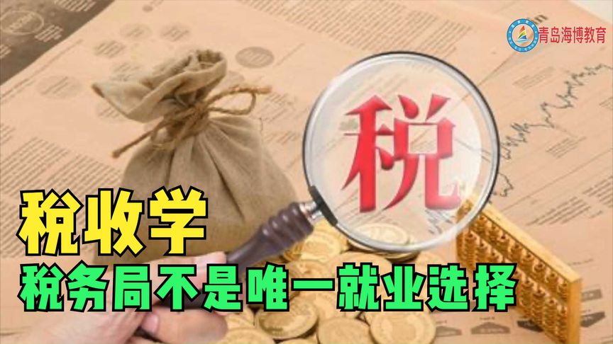 税收学——税务局不是唯一就业选择