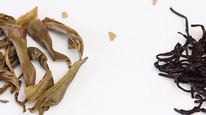 普洱熟茶的保健功效这么多,我居然才知道!