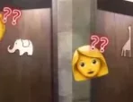 厕所门上用大象和长颈鹿标记,如何区分男女?看不懂的只能憋着!