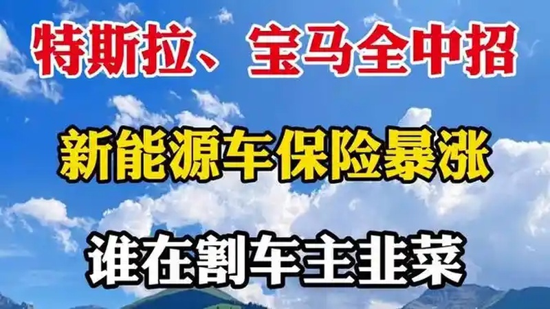 特斯拉、宝马全中招！新能源车保险暴涨，谁在割车主韭菜